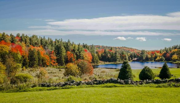 My Fall in New England Guide: 20 Bucket List Towns, Farms + Festivals