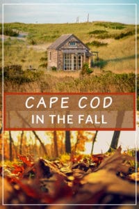 Cape Cod in the Fall: 15 Best Things to Do + Attractions