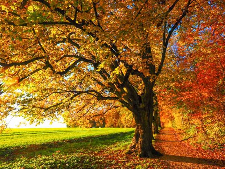 Cape Cod in the Fall: My Guide to Second Summer on the Cape