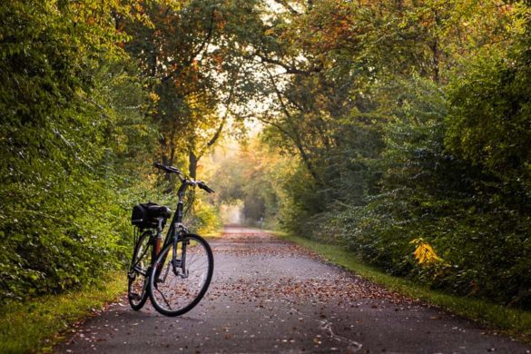 Cape Cod in the Fall: My Guide to Second Summer on the Cape