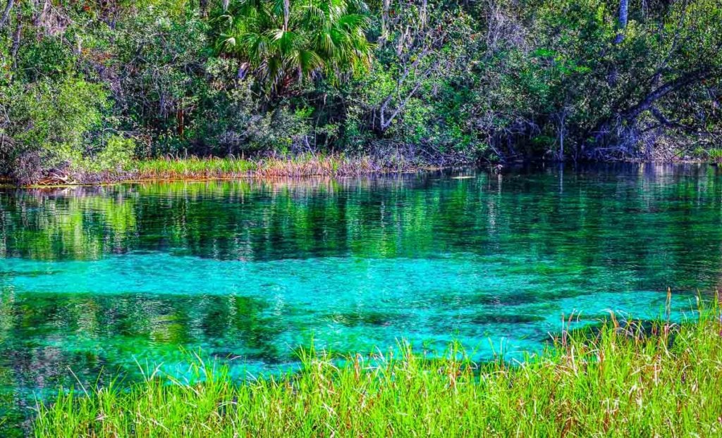 14 Off-the-Beaten-Path Spots in Florida You Need to Visit