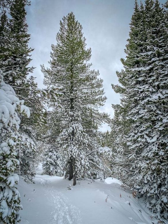 9 BEST Places to Visit in Colorado in the Winter (2025-2026) - Global ...