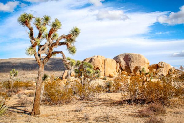 19 BUCKET-LIST Experiences in Southern California (Local's Guide ...