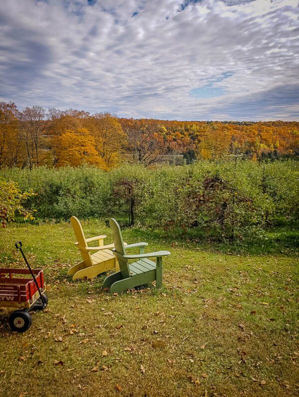 15 AMAZING Apple Picking Spots in Vermont (Farms & Orchards)