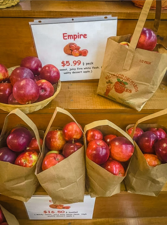 15 AMAZING Apple Picking Spots in Vermont (Farms & Orchards)