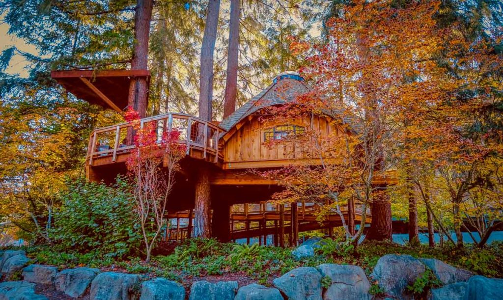 13 Cozy Cabin Rentals in Maine (With Availability)