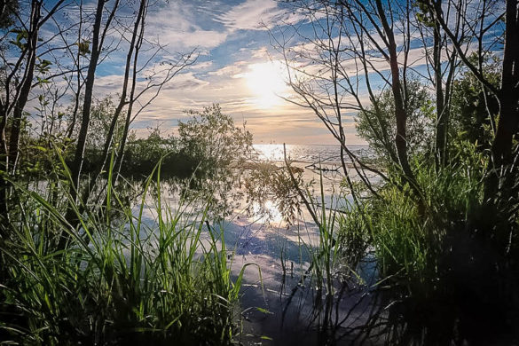 West Michigan Bucket List Guide (Written by Locals) - Global Viewpoint