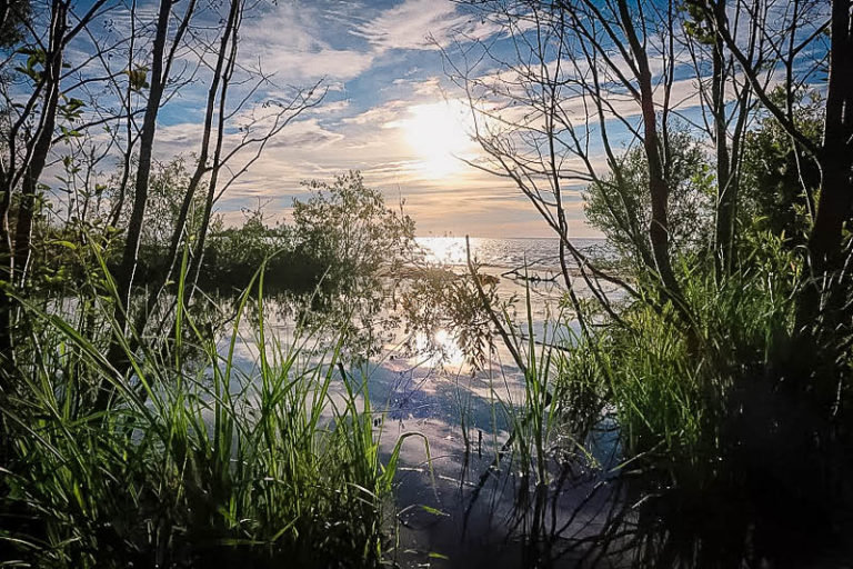 12 Awesome Things to Do in West Michigan for an Epic Trip - Global ...