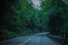 West Michigan Bucket List Guide (Written by Locals) - Global Viewpoint