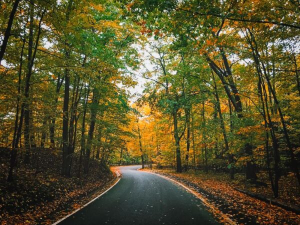 West Michigan Bucket List Guide (Written by Locals) - Global Viewpoint