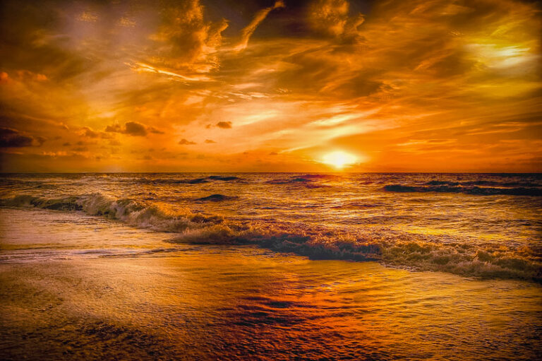 The Breathtaking Nature of Southern California (National Forests + Deserts)