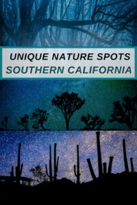 The Breathtaking Nature of Southern California (National Forests + Deserts)