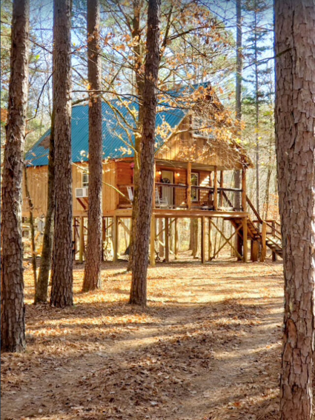 12 Uniquely Amazing Treehouses in Arkansas You Can Rent Right Now