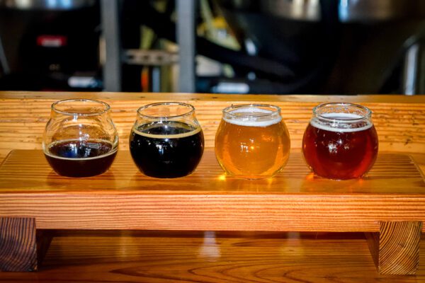 15 Unmissable Winter Activities in Cape Cod (By a Local)