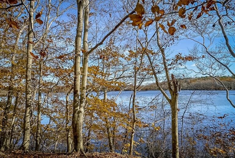 15 Unmissable Winter Activities in Cape Cod (By a Local)