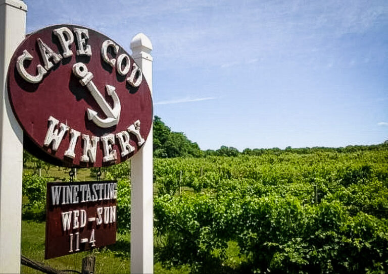 15 Unmissable Winter Activities in Cape Cod (By a Local)