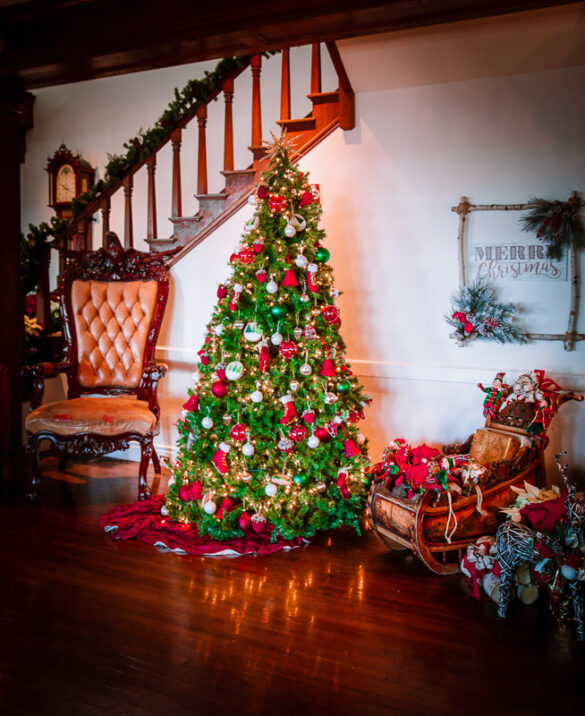 15 Unmissable Winter Activities in Cape Cod (By a Local)