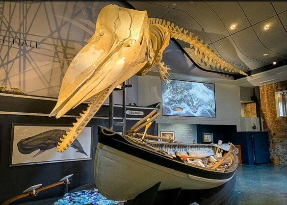 15 Unmissable Winter Activities in Cape Cod (By a Local)