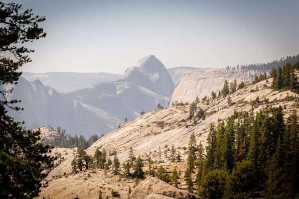 Yosemite in 3 Days with Globus Journeys (Ultimate Itinerary)