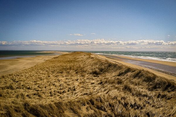 15 Unmissable Winter Activities in Cape Cod (By a Local)