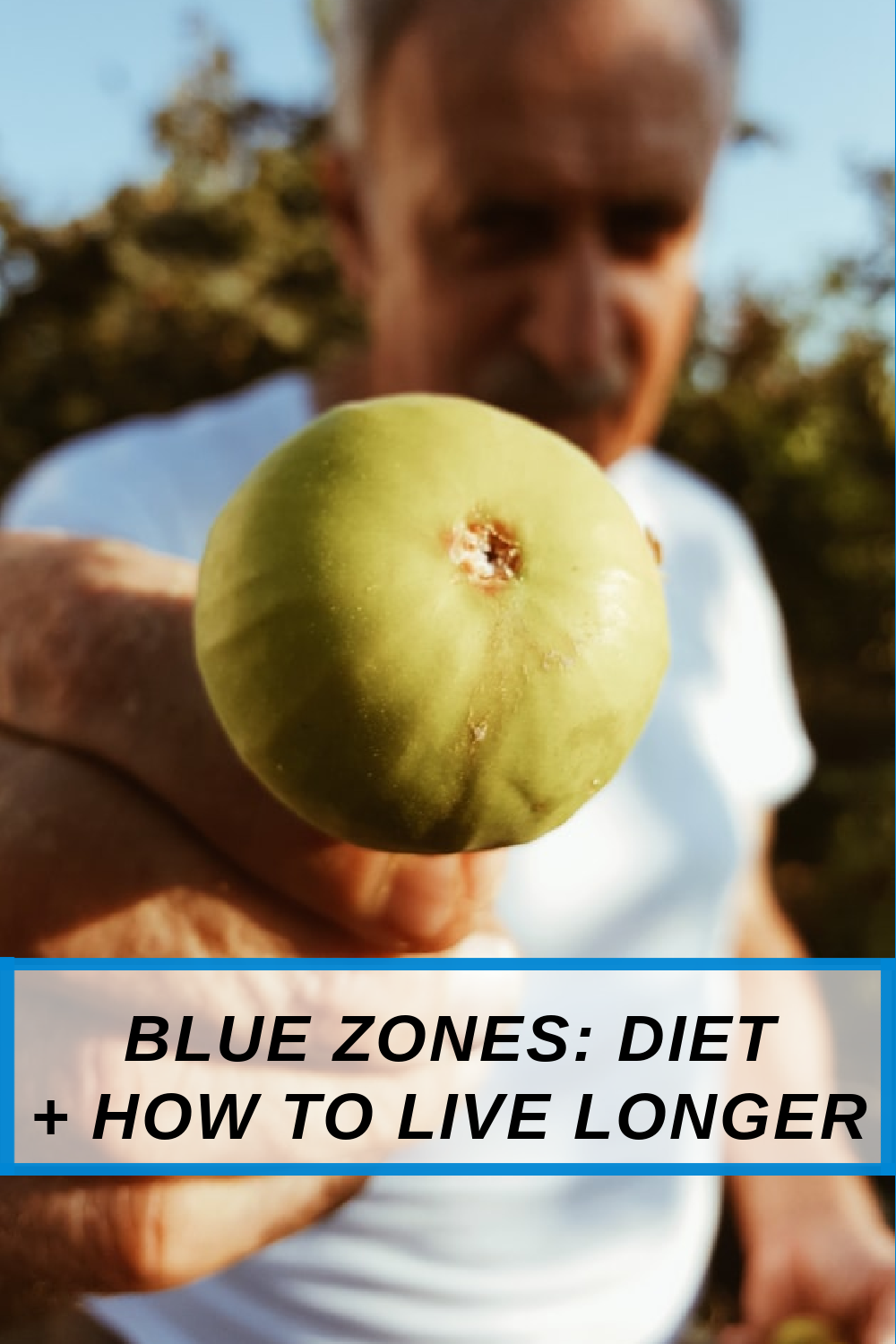 The World’s 5 Blue Zones: Where People Live the Longest (+ How to Visit ...