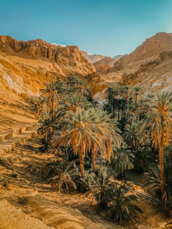 Ultimate Tunisia Travel Guide: Top Tips and Must-Do Experiences