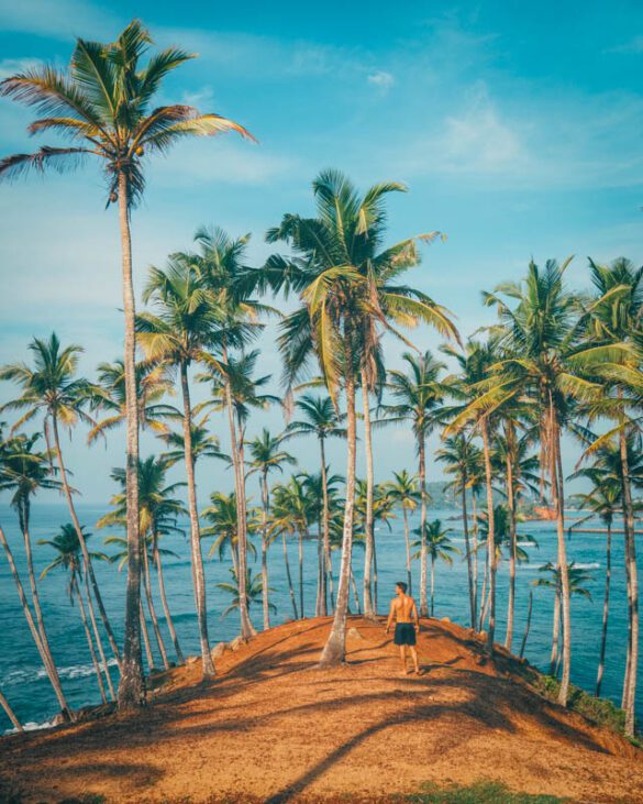 13 Best Travel Blogs in 2023: Top Travel Bloggers to Follow