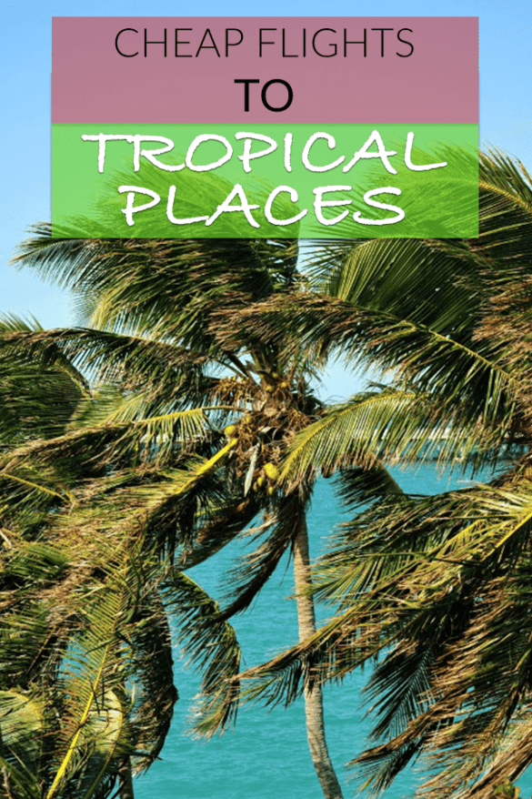 7 Cheap Flights to Tropical Places - Global Viewpoint