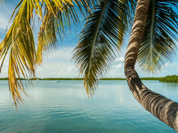 9 AFFORDABLE Tropical Destinations You Can Fly to in 2026