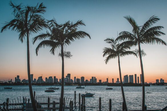 7 CHEAP Airlines to Fly to Florida from Major US Airports in 2025