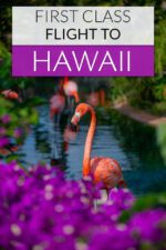 Flying First Class to Hawaii: Insider Tips, Airlines, and Hidden Perks