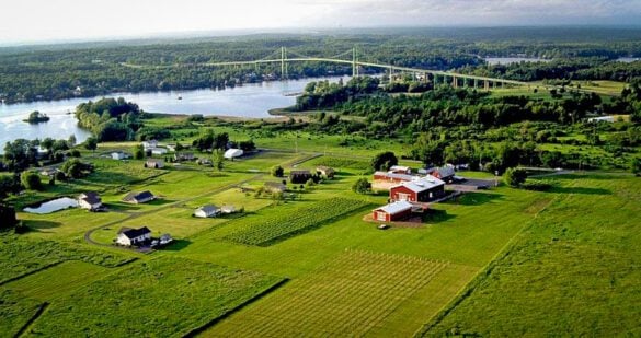 7 Awesome Islands in New York to Visit in 2025 (With Photos)