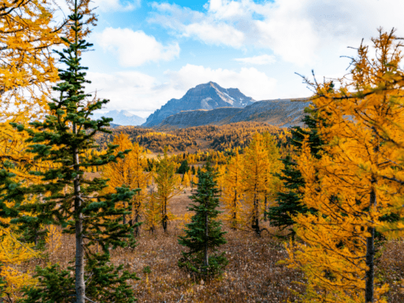 11 UNREAL Places to Visit in October (Most Travelers Miss These)