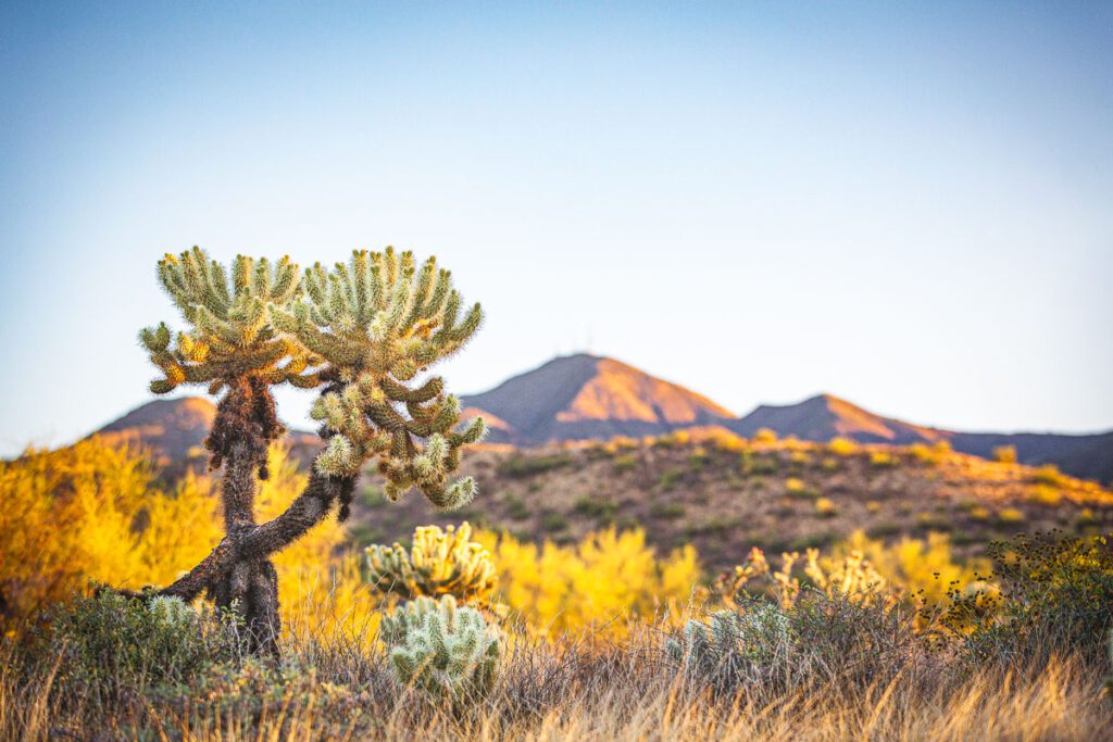 The 12 Most Mesmerizing Locations in Arizona
