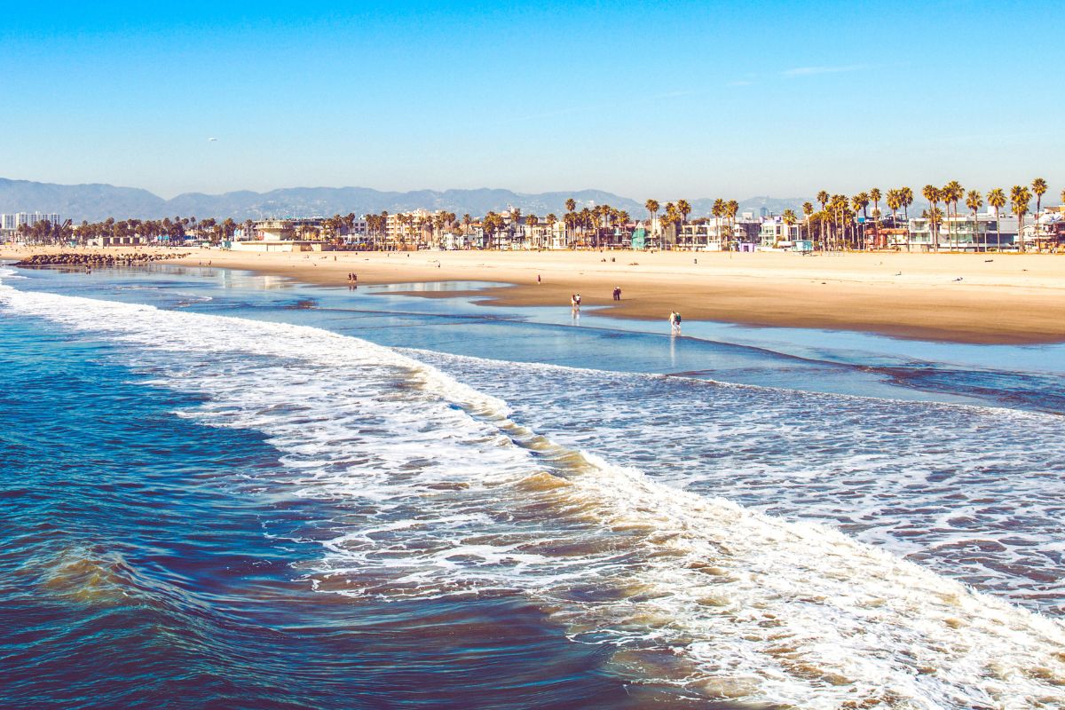 Venice Beach, California’s 12 Best Attractions & Experiences for First ...