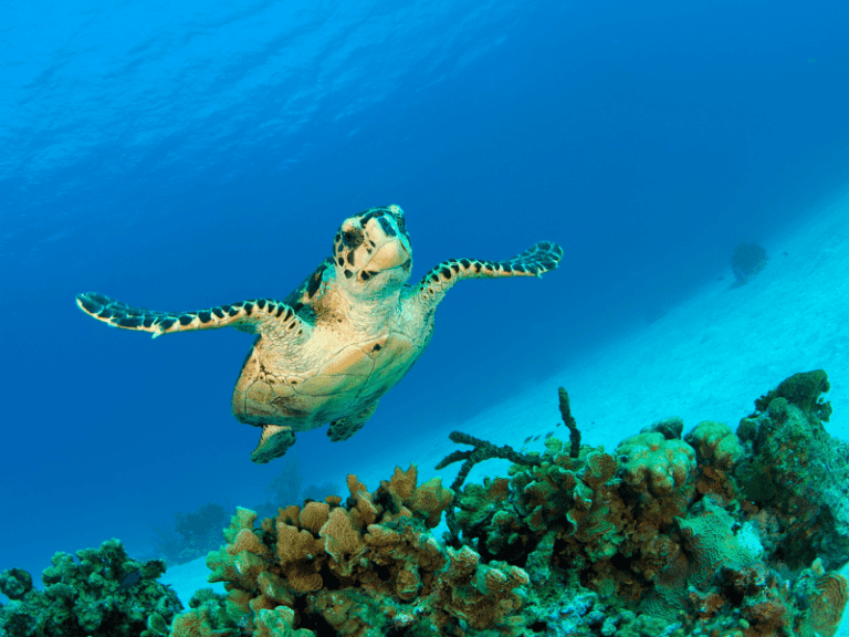 9 Best Islands to Visit in October | Global Viewpoint