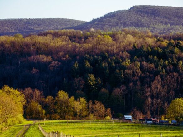 12 Fun Things to Do in the Poconos: Waterfalls, Ski Slopes & Neon Snow ...