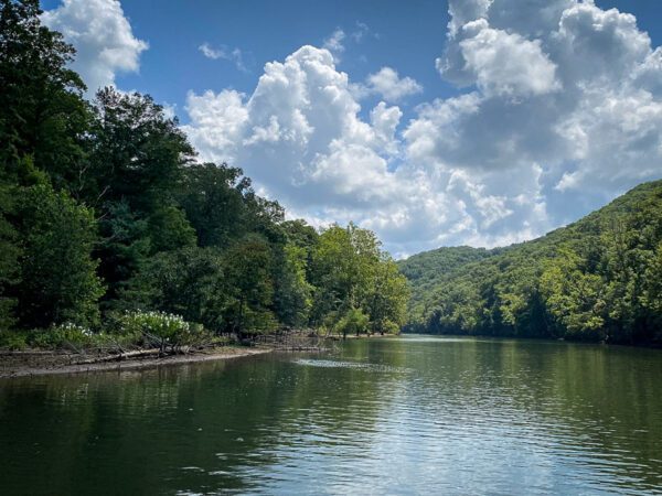 13 Fun Things to Do in Blue Ridge, GA (Local Experiences)