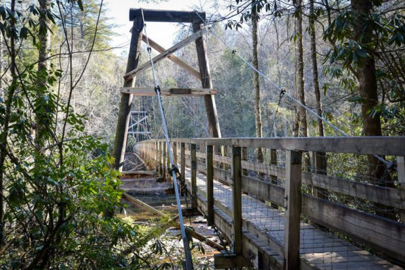 13 Fun Things to Do in Blue Ridge, GA in 2026 (Local Experiences)