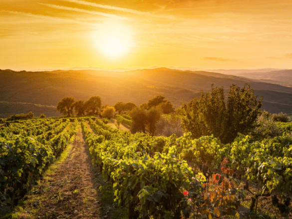 My Full-Proof Guide on How to Travel Europe for Cheap in 2026