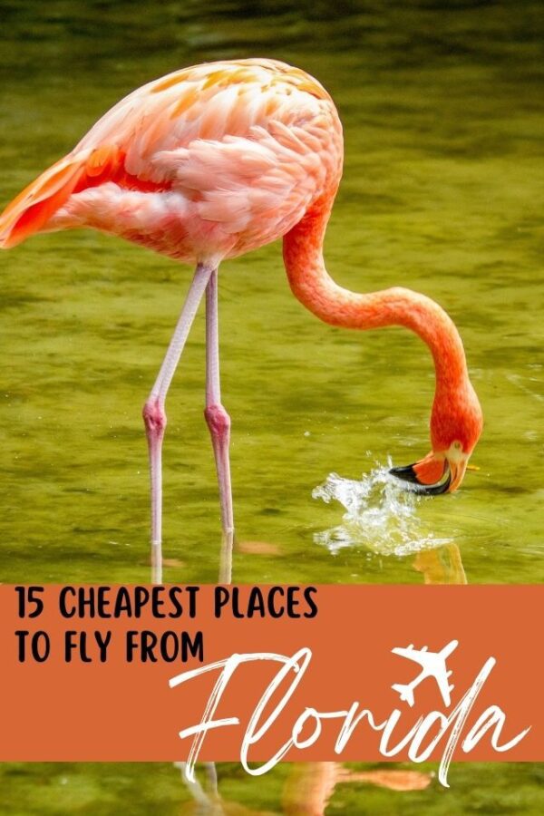 15 CHEAP Places to Fly from Florida This Year - Global Viewpoint