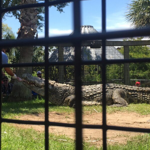 12 Epic Adventures and Attractions in North Myrtle Beach