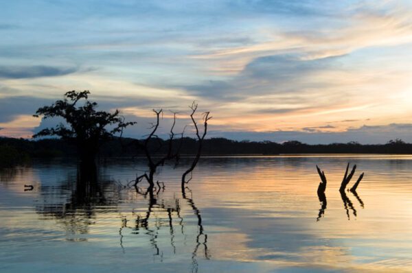 12 WONDERFUL Things to Do in the Amazon Rainforest
