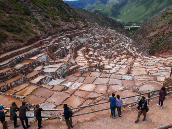 12 WONDERFUL Things to Do in the Amazon Rainforest