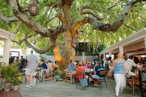 22 Cape Cod Restaurants Worth the Trip Even Without the Beach