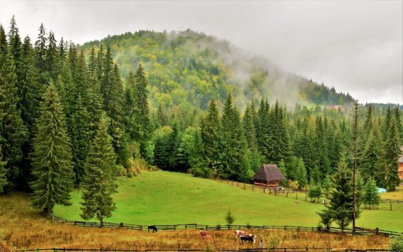 12 Most Beautiful Places in Romania You Need to Visit in 2025