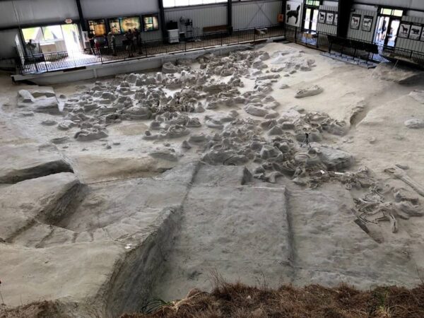 12 Picture-Perfect Places in Nebraska That Feel Like a Dream