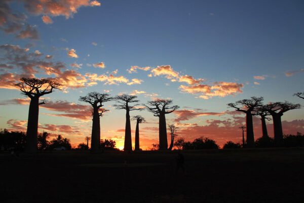 12 Beautiful Places in Madagascar to Visit (#4 Will Amaze You)
