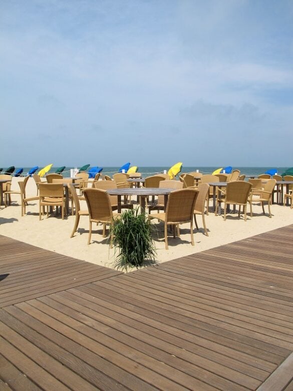 12 Unique Foodie Restaurants in Cape Cod (Local Eats)