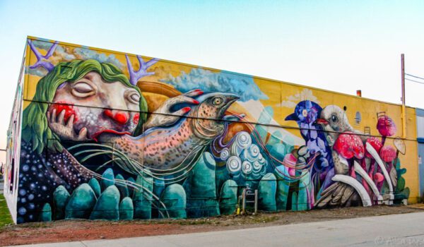 Downtown Calgary’s Coolest Spots: 12 Experiences You Can’t Miss ...